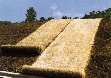 VERDYOL INTERNATIONAL AG - 4224 Nenzlingen, Switzerland